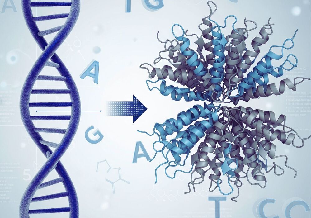 DNA to Amino Acid Converter – Free & Online Sequence Translator