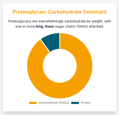 Difference Between Glycoprotein and Proteoglycan - ScienceCodons