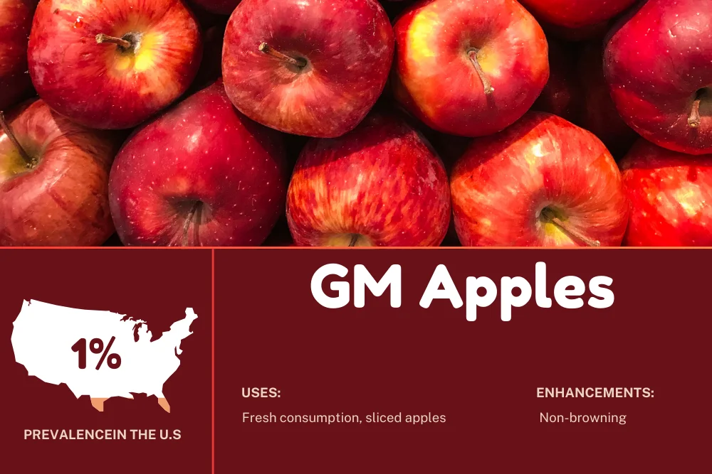 Genetically Modified Food Examples: 2025 Overview - ScienceCodons