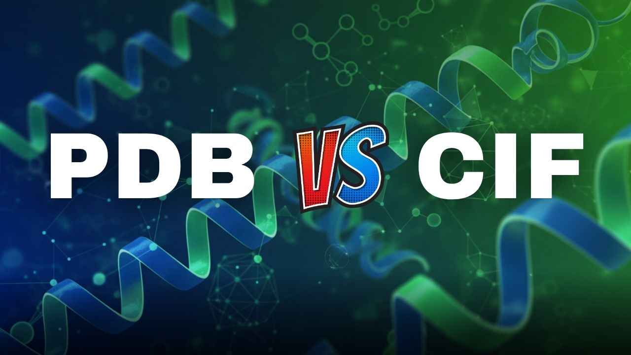 What is the process of coagulation of blood? (Full review) - ScienceCodons
